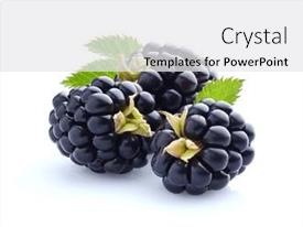 Blackberries With Leaves In Closeup PPT template 53 | CrystalGraphics