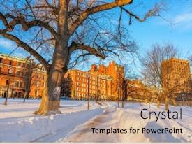 Boston Common At Winter Sunset PPT template 8 | CrystalGraphics