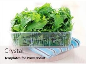 Box Of Mizuna Leaves Ready PPT template 8 | CrystalGraphics