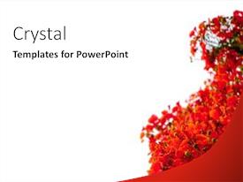 Branch Of Beautiful Orange Flower PPT template 15 | CrystalGraphics