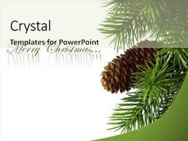 Branch Of Christmas Tree PPT template 93 | CrystalGraphics