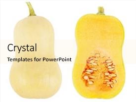 Butternut Squash With Cross Section PPT template 20 | CrystalGraphics