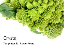 Cabbage Romanesco Broccoli PPT template 13 | CrystalGraphics