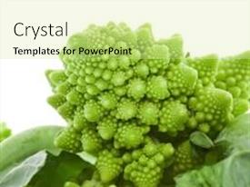 Cabbage Romanesco Broccoli PPT template 64 | CrystalGraphics