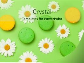 Camomile Flowers And Macaroon Cookies PPT template 77 | CrystalGraphics