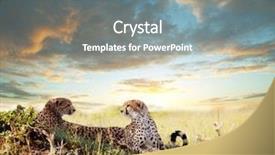 145 Best Cheetah-Themed Templates for PowerPoint & Google Slides