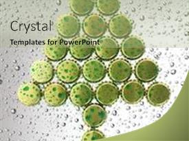 Christmas Tree Made From Bottle PPT template 45 | CrystalGraphics