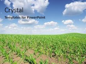 Corn Field PPT template 21 | CrystalGraphics