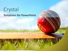 Premium Template for PowerPoint & Google Slides (iolhjjppmo)