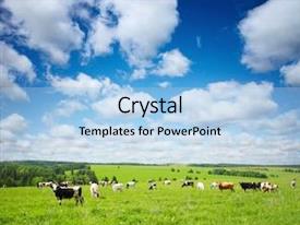 Premium Template for PowerPoint & Google Slides (pkmjunko)