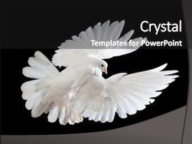 Premium Template for PowerPoint & Google Slides (liulijuo)