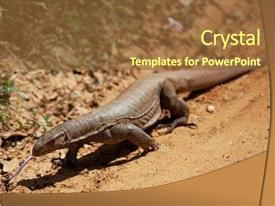 Dragon PPT template 59 | CrystalGraphics