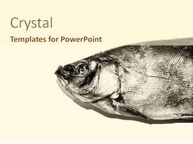 Dried Fish On A Vintage PPT template 21 | CrystalGraphics