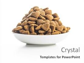 Animal Nutrition Dried Kibble Pet Food PPT template 54 | CrystalGraphics