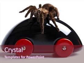 Driver Spider PPT template 24 | CrystalGraphics