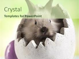 Easter Bunny With Egg PPT template 55 | CrystalGraphics