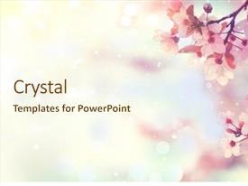 Sakura Easter Sunny Day Spring PPT template 26 | CrystalGraphics