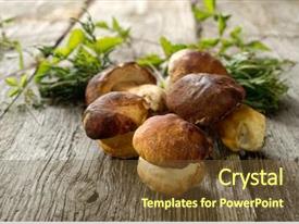 Edible Mushroom On Wood Background PPT template 70 | CrystalGraphics