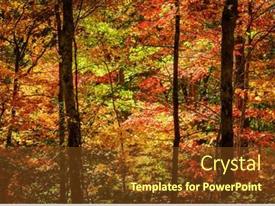 Fall Colors In The Forest PPT template 45 | CrystalGraphics