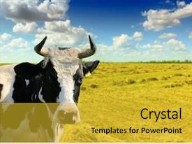 Premium Template for PowerPoint & Google Slides (okpplkulh)