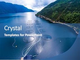 PowerPoint Template: aquaculture farm salmon fishing in (nipimuhuj)