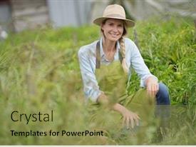Farmer Woman In Field Picking PPT template 70 | CrystalGraphics
