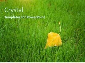 First Autumn Leaf Nature Composition PPT template 69 | CrystalGraphics
