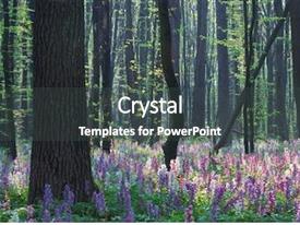 First Spring Flowers In Wood PPT template 66 | CrystalGraphics