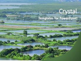 Aquaculture Fish Hatchery Pond PPT template 23 | CrystalGraphics