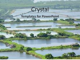 Fish Farm Hatchery Pond PPT template 81 | CrystalGraphics