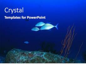 Fish School Coral Reef Underwater PPT template 49 | CrystalGraphics