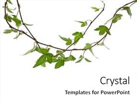 Premium Template for PowerPoint & Google Slides (iojkihnim)