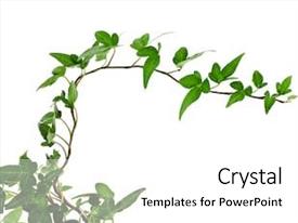 Premium Template for PowerPoint & Google Slides (inhhuhkui)