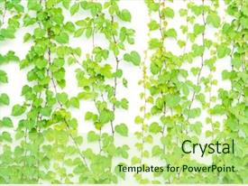 Premium Template for PowerPoint & Google Slides (ijkmulllph)