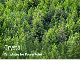 Forrest Green Pine Trees PPT template 44 | CrystalGraphics