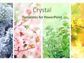 Four Seasons Of Year Set Of Vertical Nature Banners With Winter PPT ...