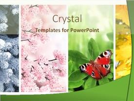 Four Seasons Of Year Set PPT template 53 | CrystalGraphics