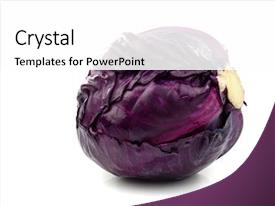 Fresh Red Cabbage PPT template 81 | CrystalGraphics