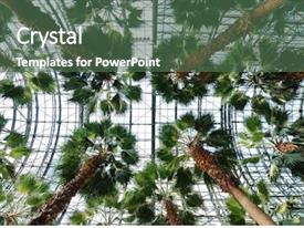 Glass Atrium With Palm Trees PPT template 15 | CrystalGraphics