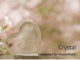 Premium Template for PowerPoint & Google Slides (knkioikii)