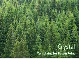 Premium Template for PowerPoint & Google Slides (omllklppn)