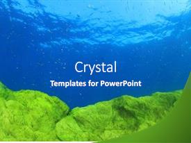 Premium Template for PowerPoint & Google Slides (iniklkunln)
