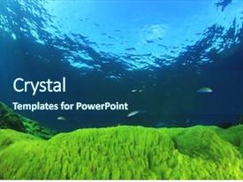 Premium Template for PowerPoint & Google Slides (ijilljiuhi)