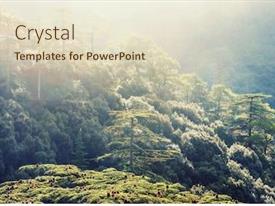 Green Cedar Trees In Cyprus PPT template 66 | CrystalGraphics