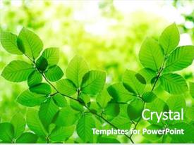 Green Leaves Background PPT template 59 | CrystalGraphics