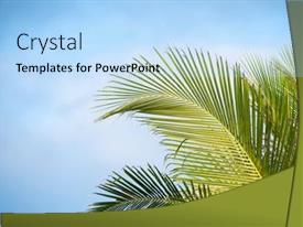 Green Palm Trees Against Sky PPT template 59 | CrystalGraphics