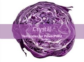 Half Of Red Cabbage Isolated PPT template 39 | CrystalGraphics