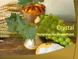 Premium Template for PowerPoint & Google Slides (onojioul)