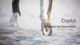 361 Best Horse-Themed Templates for PowerPoint & Google Slides