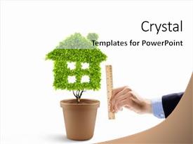 Green Home Plants House Shaped Plant In Pot PPT template 74 ...